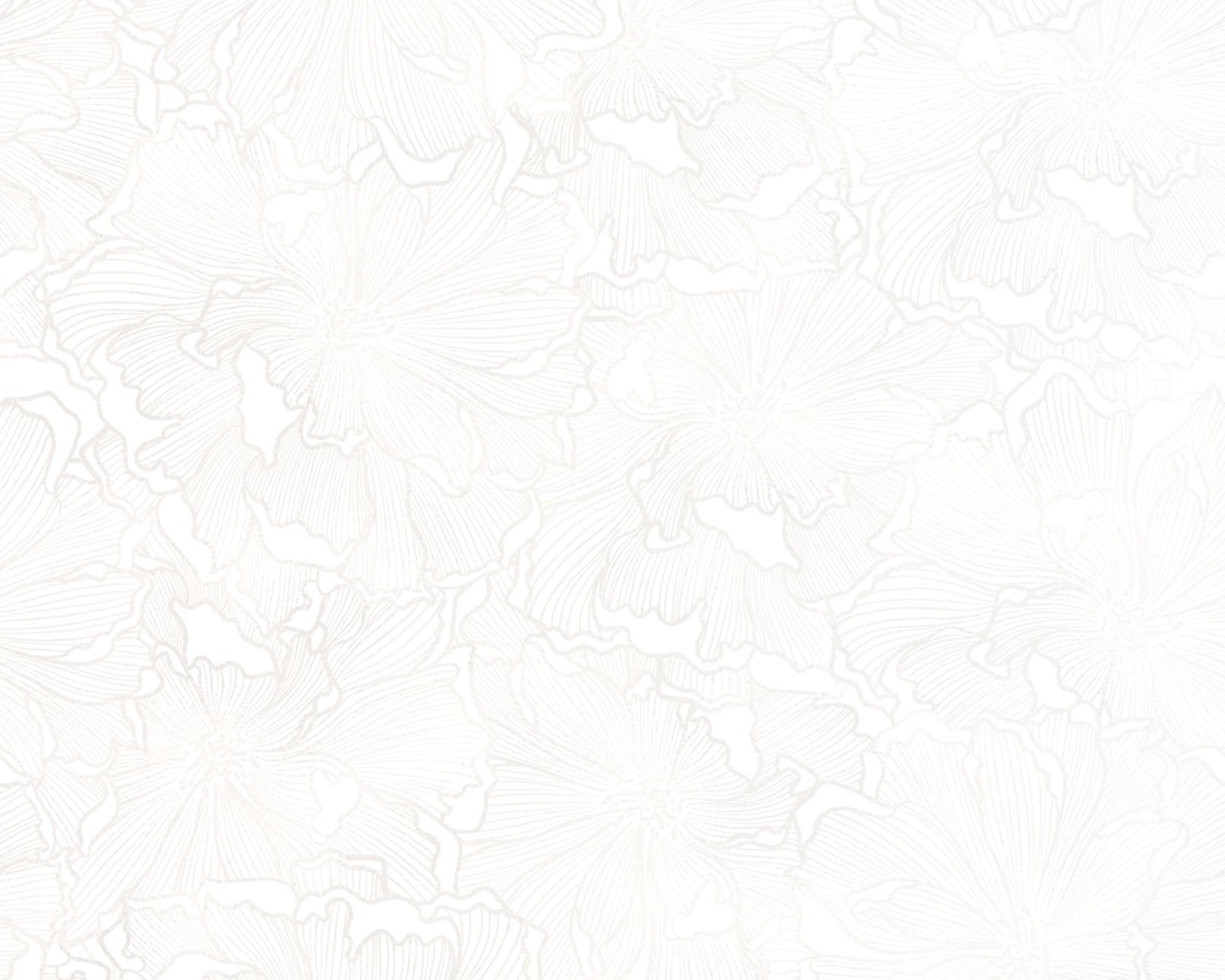 Andrea Pezzella, M.D., URPS, FACOG | Southern Urogynecology